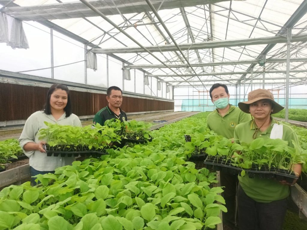 กรมส่งเสริมการเกษตรเปิด “DOAE Marketplace” จำหน่ายพืชพันธุ์ดี สั่งง่าย ...