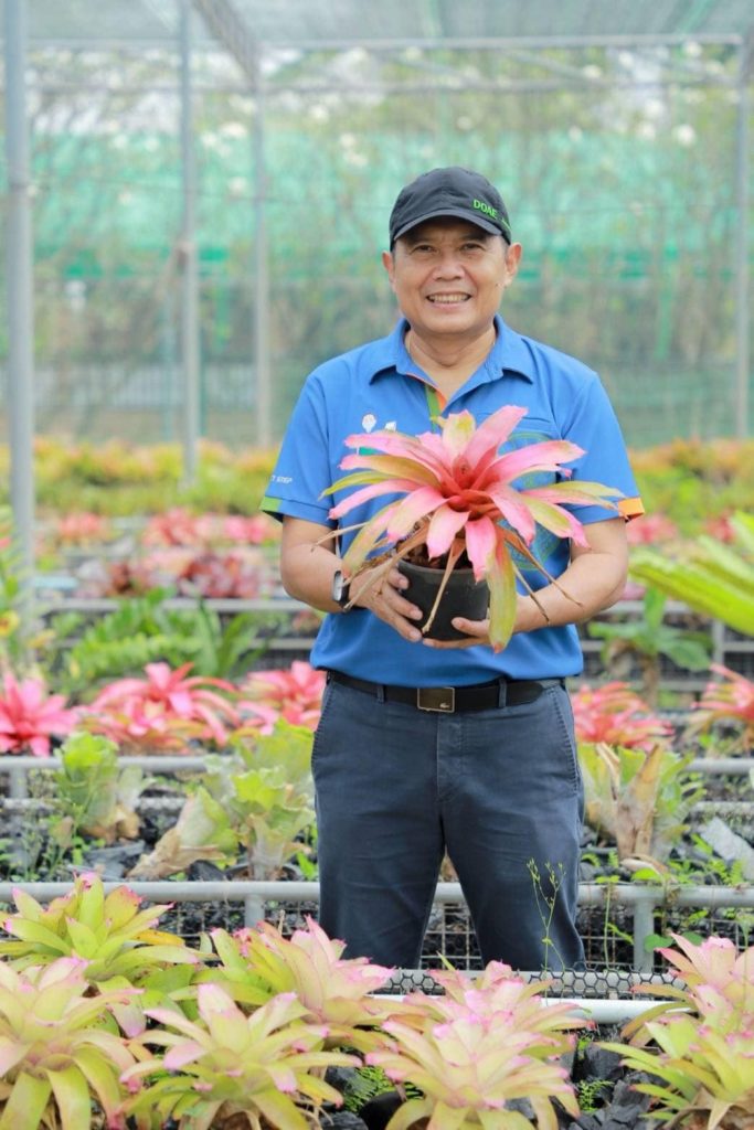 กรมส่งเสริมการเกษตรเปิด “DOAE Marketplace” จำหน่ายพืชพันธุ์ดี สั่งง่าย ...